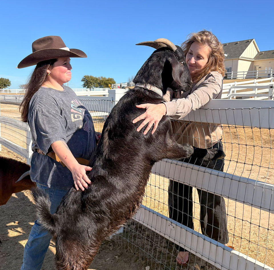 Meet Bob Boat, Our Newest Rescue Goat! – FarmHouse Fresh