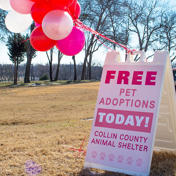 Free Pets for 1 Day – FarmHouse Fresh