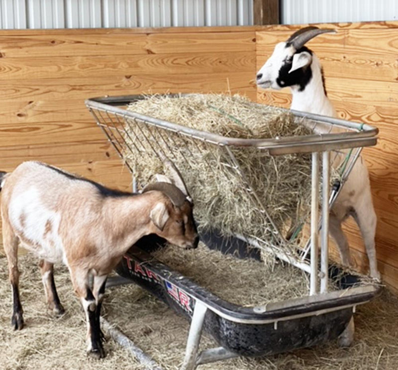 Roo – FarmHouse Fresh